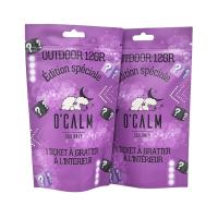 China Factory Custom Logo Printing Matte Anti-Smell Stand up Zipper Bags Food Grade Packaging Pouch Mylar Doypack with Euro Hole for sale