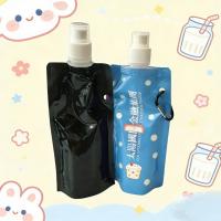 China Ready to Ship Collapsible Food Grade Spout Top PE Beverage Bags Leak Proof Foldable Reusable with Carabiner Clip for sale
