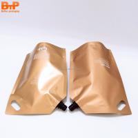 China Custom Printed 1L 3L 5L Standf up Plastic Liquid Nozzle Packet Spout Pouch Bag Shampoo Cosmetic Hand Wash Bags With Spout Cap for sale
