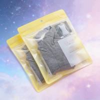 China Custom Logo Apparel Packaging Bag with Three Side Seal Clear Window Resealable Zipper Pouch Hang Hole for Tank Tops & Underwear for sale