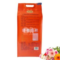 China Custom size Vacuum bag available for specialized packaging requirements in food pharmaceutical and electronic industries for sale