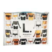 China Bikini Packaging Bag Custom Printed Swimwear Packaging Frosted Ziplock Bag for sale
