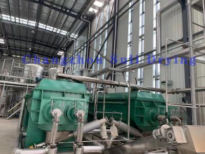 China Industrial Sludge Paddle Dryer 5-2000kg Water Evaporation Thermal Oil Heating for sale