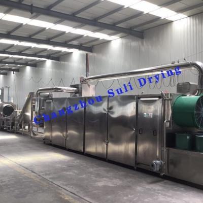 China Thermal Oil DW Series Belt Dryer Rose Performance Stable for sale