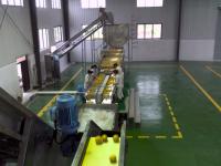 China Commercial Orange Juicer Machine Orange Juice Production Line Orange Peeler Machine Peeling for sale