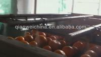 China Commercial Orange Juicer Machine Orange Juice Production Line Orange Peeler Machine Peeling for sale