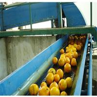 China Electric Orange Juicer Machine Orange Juice Squeezer Fruit Juice Making Machine Production Line for sale