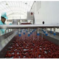 China Small Hot Chili Pepper Paste Sauce Making Machine Processing Line Production Line for sale