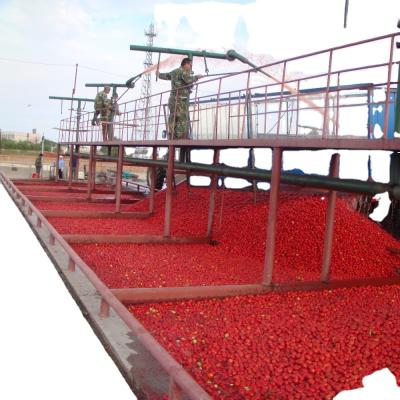 China Complete Tomato Processing Plant Small Scale Ketchup Processing Line Tomato Sauce Machine for Tomato Paste for sale