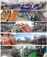 China Complete Tomato Processing Plant Small Scale Ketchup Processing Line Tomato Sauce Machine for Tomato Paste for sale