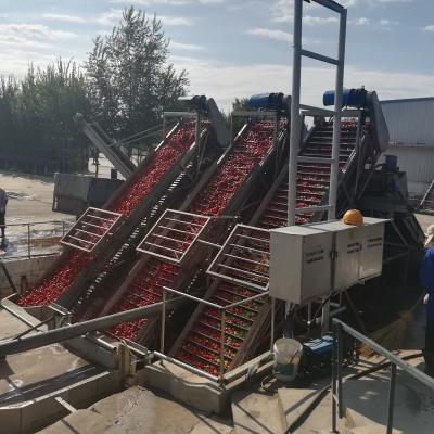 China Factory Offer Small Scale 500Kg/H  Tomato Paste and Sauce Production Line for sale