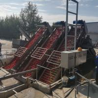 China Factory Offer Small Scale 500Kg/H  Tomato Paste and Sauce Production Line for sale