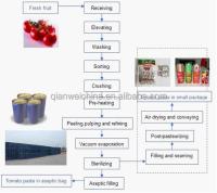 China Factory Offer Small Scale 500Kg/H  Tomato Paste and Sauce Production Line for sale