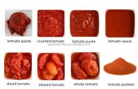 China Factory Offer Small Scale 500Kg/H  Tomato Paste and Sauce Production Line for sale