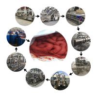 China Factory Offer Small Scale 500Kg/H  Tomato Paste and Sauce Production Line for sale