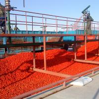 China Cost Effective Tomato Sauce Making Machine Tomato Processing Machine Production Line for sale