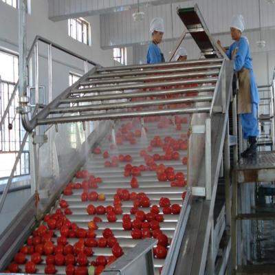 China High Quality Automatic Tomato Sauce Ketchup Production Line for Sale Processing Line for sale