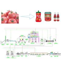 China Commercial Small Scale Sauce Making Machine Puree Tomato Ketchup Manufacturing Plant Price for sale