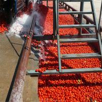 China Commercial Small Scale Sauce Making Machine Puree Tomato Ketchup Manufacturing Plant Price for sale