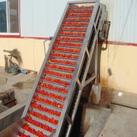 China Factory Price Tomato Mango Paste Puree Pulp Juice Sauce Ketchup Jam Making Machine Production Line for sale