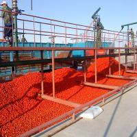 China Concenrated Tomato Paste Processing Plant Concentrated Tomato Ketchup Production Line With Turn-Key Solution for sale