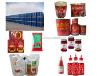 China Automatic Tomato Paste Making Machine Tomato Sauce Production Line for Sale for sale