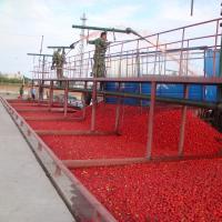 China 220L Tomato Paste Sauce Ketchup Production Line Making Machine Equipment for sale