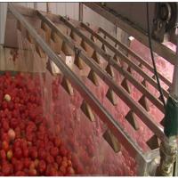 China Factory Outlet Turnkey Solution for Tomato Paste Processing Machine Production Plant Sauce Making Machine for sale