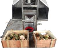 China Tender Coconut Water Juice Processing Plant Making Production Equipment Line for sale
