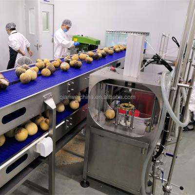 China High Efficiency Coconut Oil Professional Manufacturer for Coconut Production Processing Plant Factory for sale