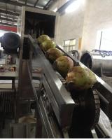 China High Efficiency Coconut Oil Professional Manufacturer for Coconut Production Processing Plant Factory for sale