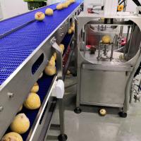 China Industrial Large Capacity Mature Young Coconut Milk Water Oil Processing Plant Production Line Machine for sale