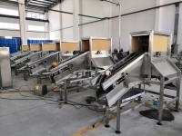 China Industrial Large Capacity Mature Young Coconut Milk Water Oil Processing Plant Production Line Machine for sale
