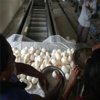 China Best Price for Virgin Coconut Oil Processing Production Line Machine for sale