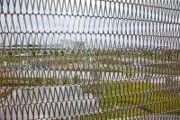 China Flat Wire Balanced Weave Architectural Mesh,Flat Spiral Wire Belt Woven Decorative Mesh for sale
