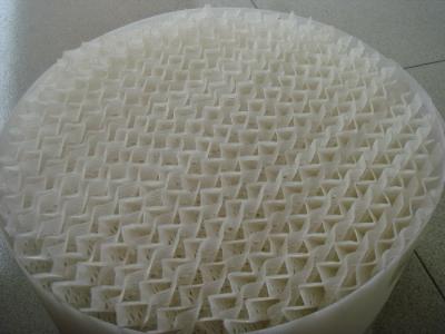 China Plastic Structured Tower Packings,Corrugated Plate Packing,Plastic Knitted Gauze Packings for sale