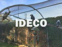 China Clearmesh, Stainless Steel Aviary Mesh, Zoo Animal Mesh, Knitted Wire Mesh, Flexible Lightweight Bird Aviary Mesh for sale