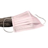 China Simple Design Standard Earloop Face Mask With Elastic Ear Loop for sale