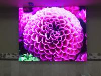 China 1000x250mm P2.6 P2.9 P3.9 4K LED Video Wall With Front Service for sale
