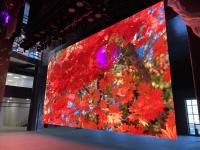 China High Brightness Small Pitch LED Display 500x500mm 500x1000mm Outdoor COB LED Screen for sale