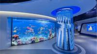 China High Brightness P2.3 LED Flexible Display 300x168.75mm Wide Bending Radius for sale