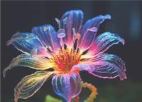 China High Transparency LED Display Screen 1000x500mm IP65 Waterproof for sale