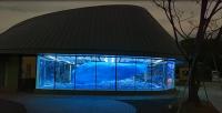China Double Sided 3D Transparent LED Display Screen For Museum Artifact Display for sale