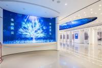 China Indoor Smart Digital Exhibition Hall Wall Mount Curved LED Display Screen for sale