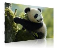 China High Definition High Refresh Lightweight Flexible High Performance Indoor LED Display for sale