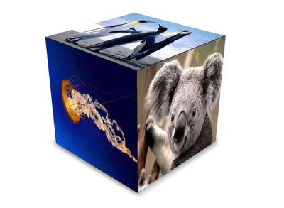China P2.5 P10 Flexible Led Video Display Wall 4 Sides Cube Logo Brand Custom Led Screen for sale