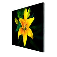 China custom led video displays dance floor led display manufacturer P4.8 Foot Step for sale