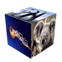 China 4 - 5 Sided Smart Control Cubic Led Display Commercial Advertising Magic Box for sale