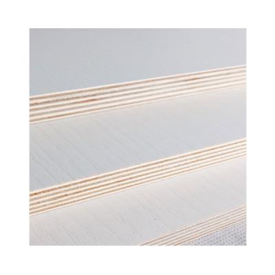 China High End Best Quality Particleboard Suppliers White Faced Melamine Cutting Board Moisture Proof for sale