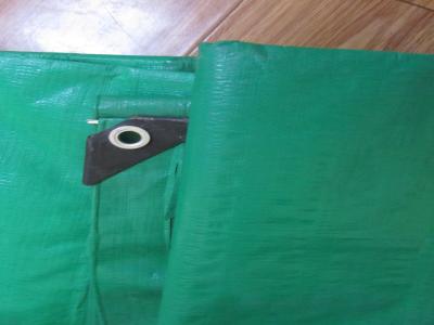 China green pe tarpaulin with corner reinforced for sale